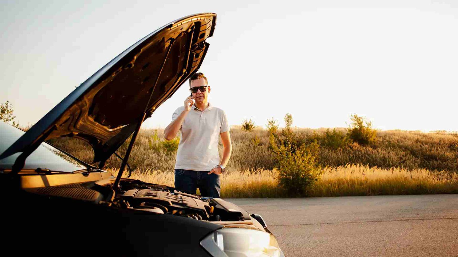 ¿Qué son las Primas de Seguro y Cómo se calculan?